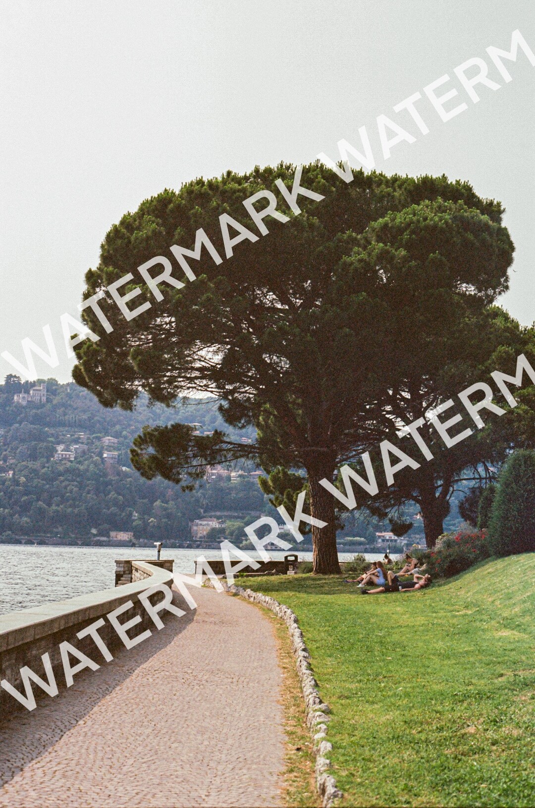 Lake Como Tree Print - Etsy