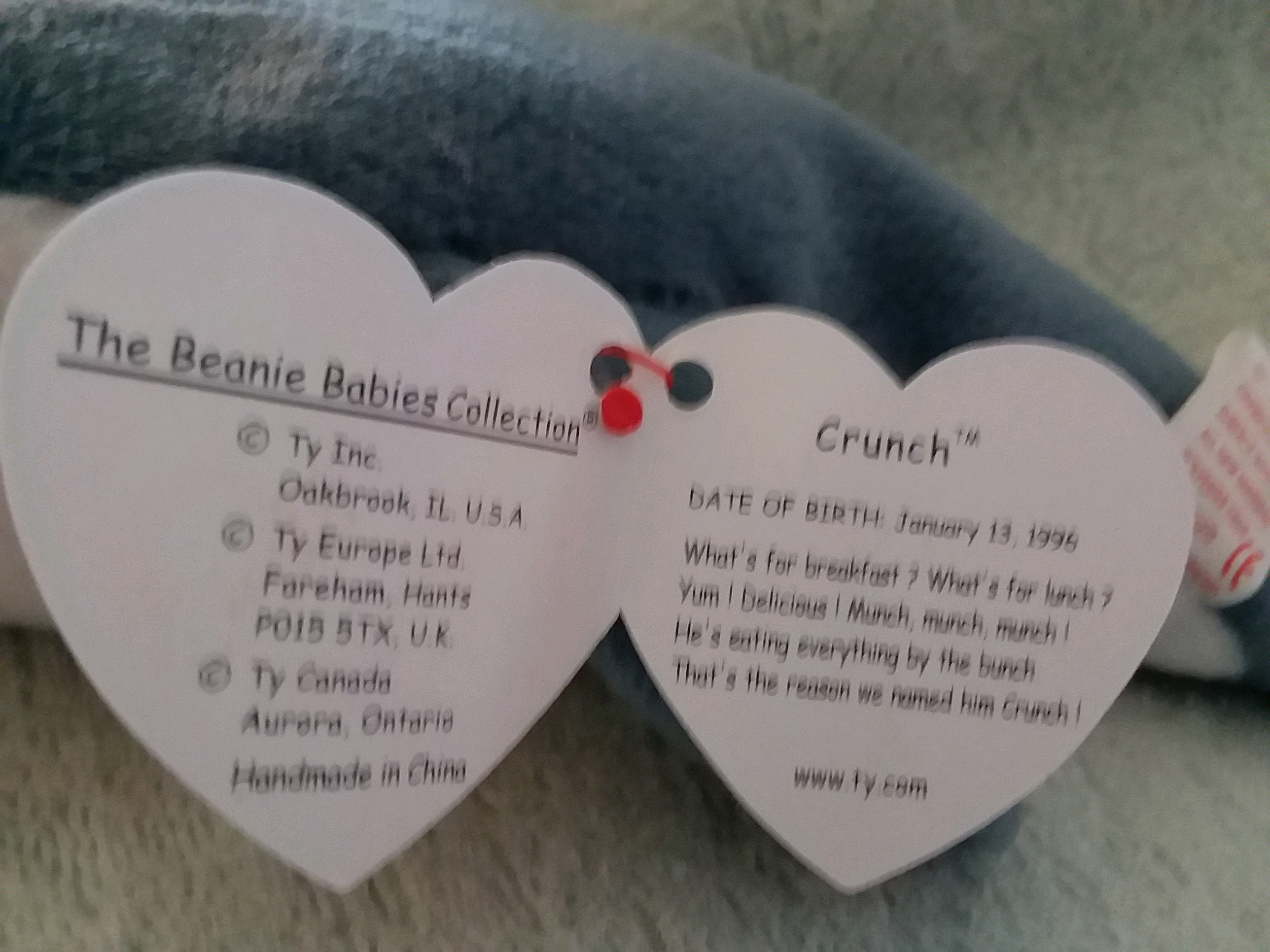 Ultra Rare Crunch Shark Beanie Baby - Etsy