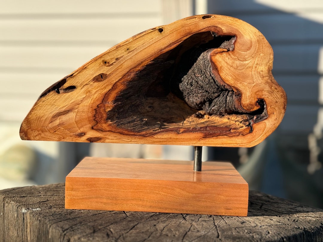 Hickory Live Edge Wood Sculpture: Reclaimed Knot, Black Cherry Base - Etsy