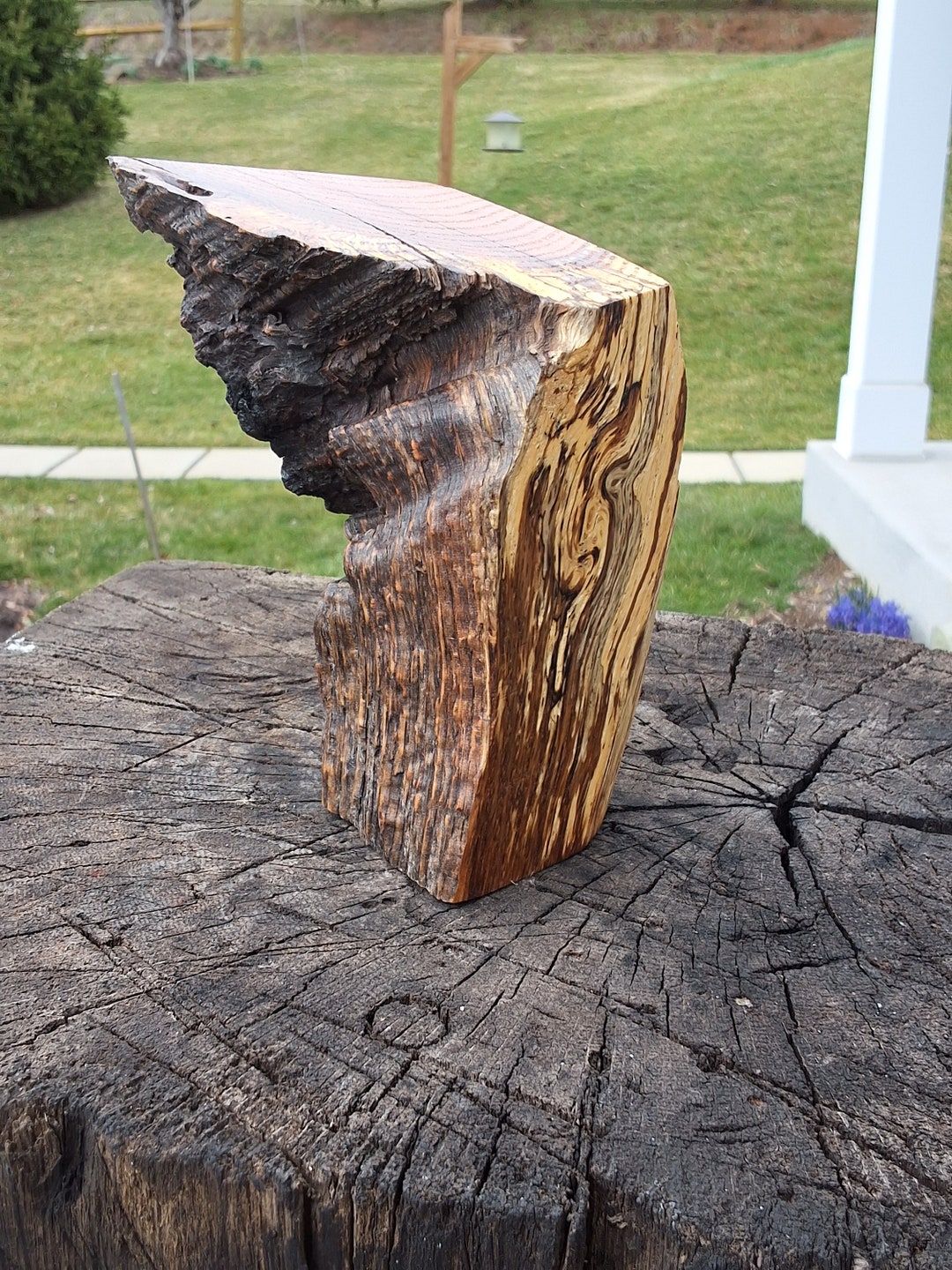 Handcrafted & Finished Reclaimed Salvaged Rare Highly Figured Spalted ...