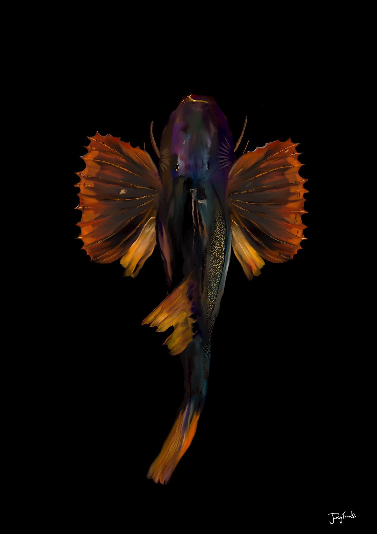 Gurnard Digital Hand Drawn by Jonty Franks - Etsy
