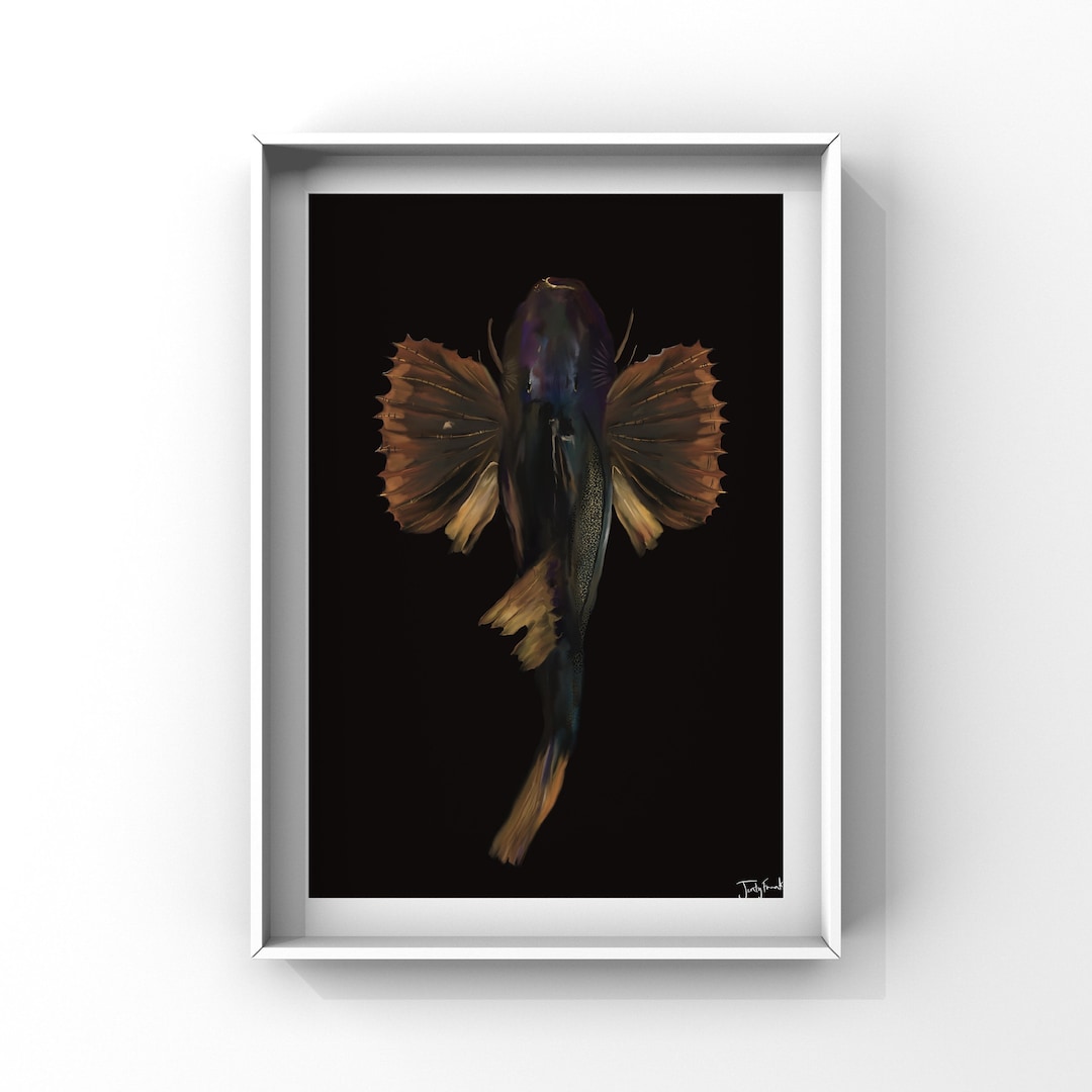 Gurnard Digital Hand Drawn by Jonty Franks - Etsy