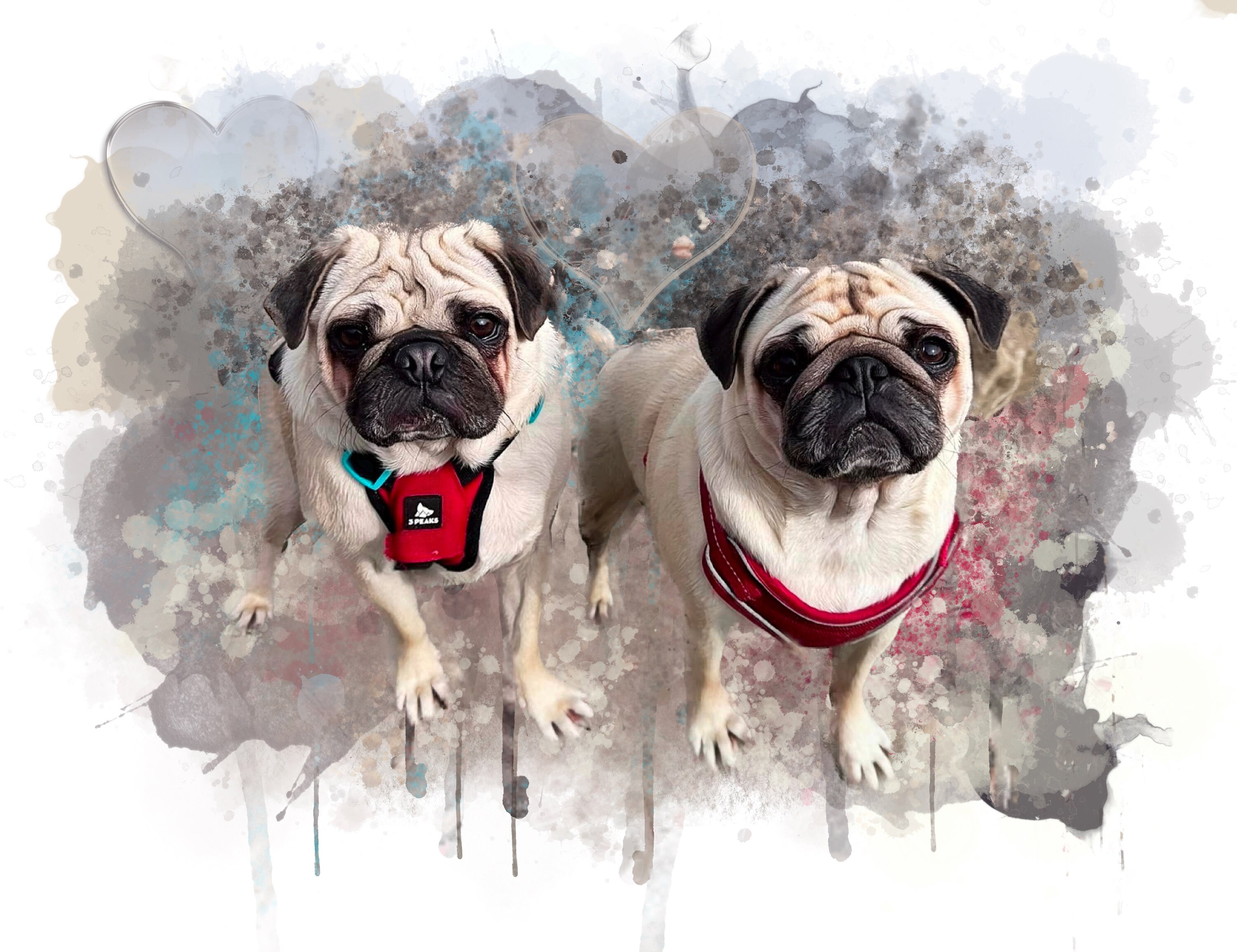 Pug Picture, Personalised Pug Print From Original Photo, Pug Painting ...