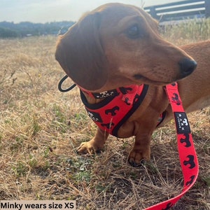 BARK AVENUE Adjustable Harness - 3 Colours - Etsy