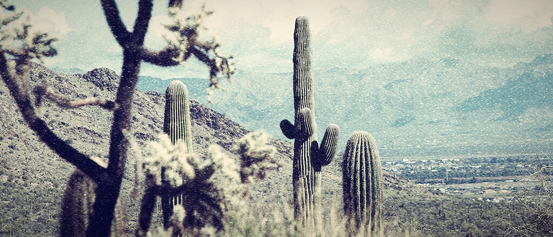 Vintage Desert Landscape - Etsy