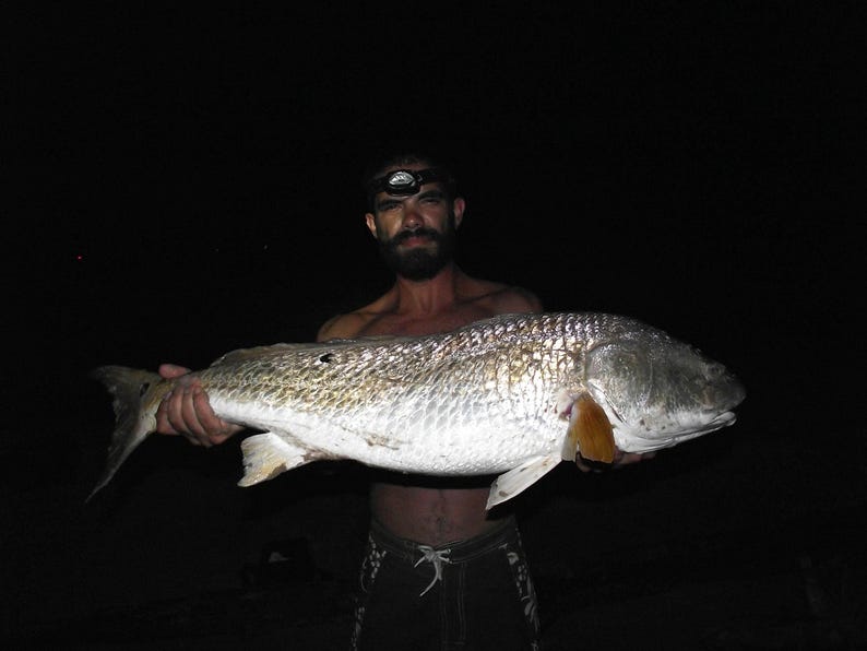 Bull Red Drum 5 Ft. Bottom Rig, Jetty and Heavy Surf Leader, 300 Lb ...