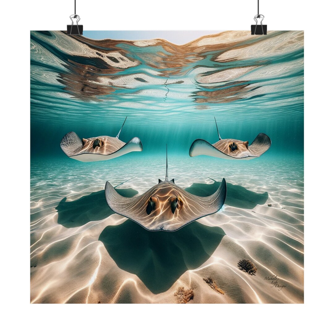WALL ART - Stingray Trio - Sea Life Collection - Etsy
