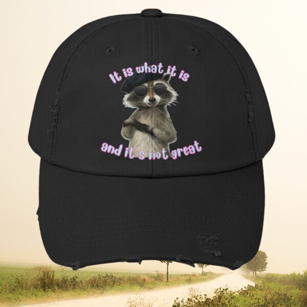Trash Panda Baseball Hat - Etsy