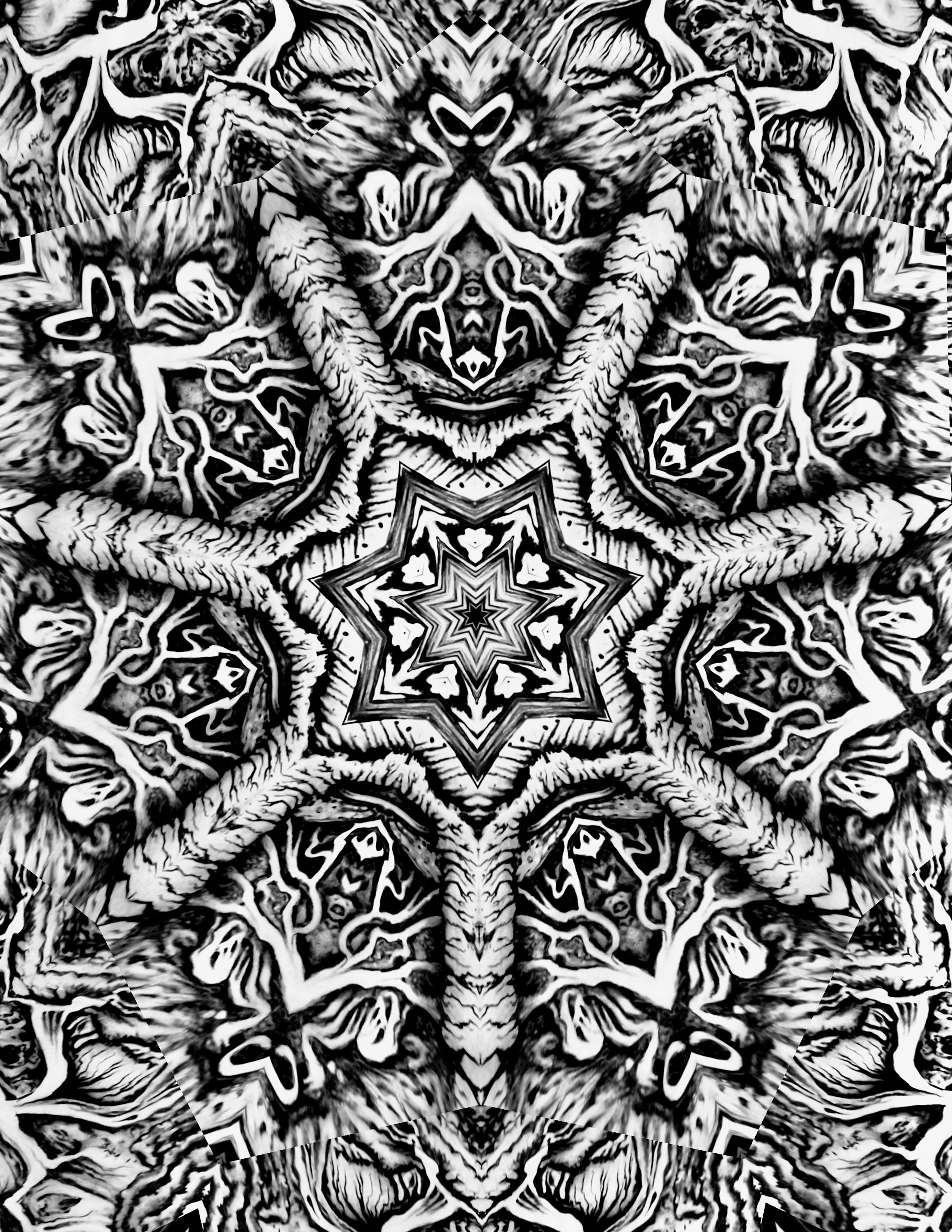 Rooster Walk Reunion Mandala Coloring Book Sampler - Etsy