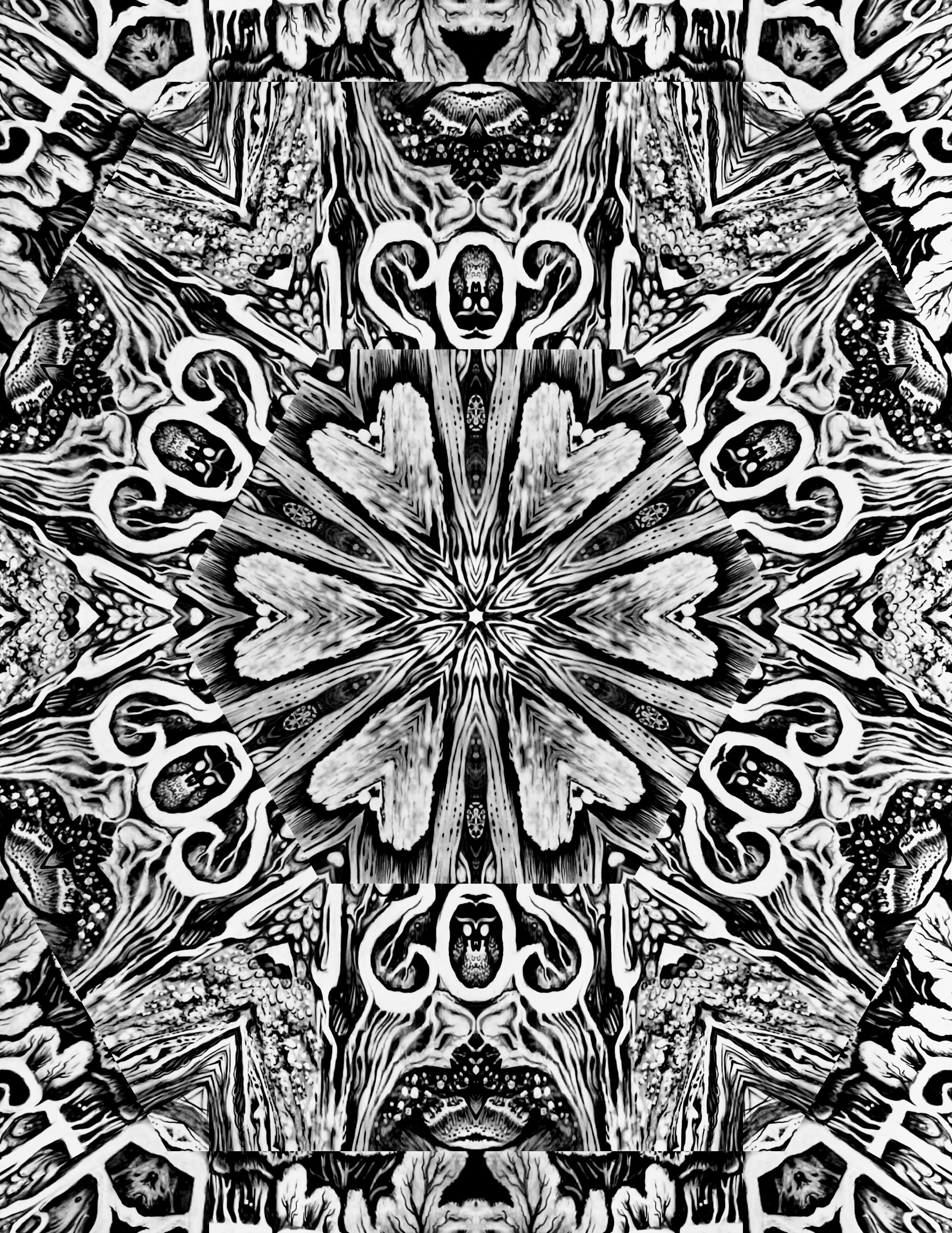 Rooster Walk Reunion Mandala Coloring Book Sampler - Etsy