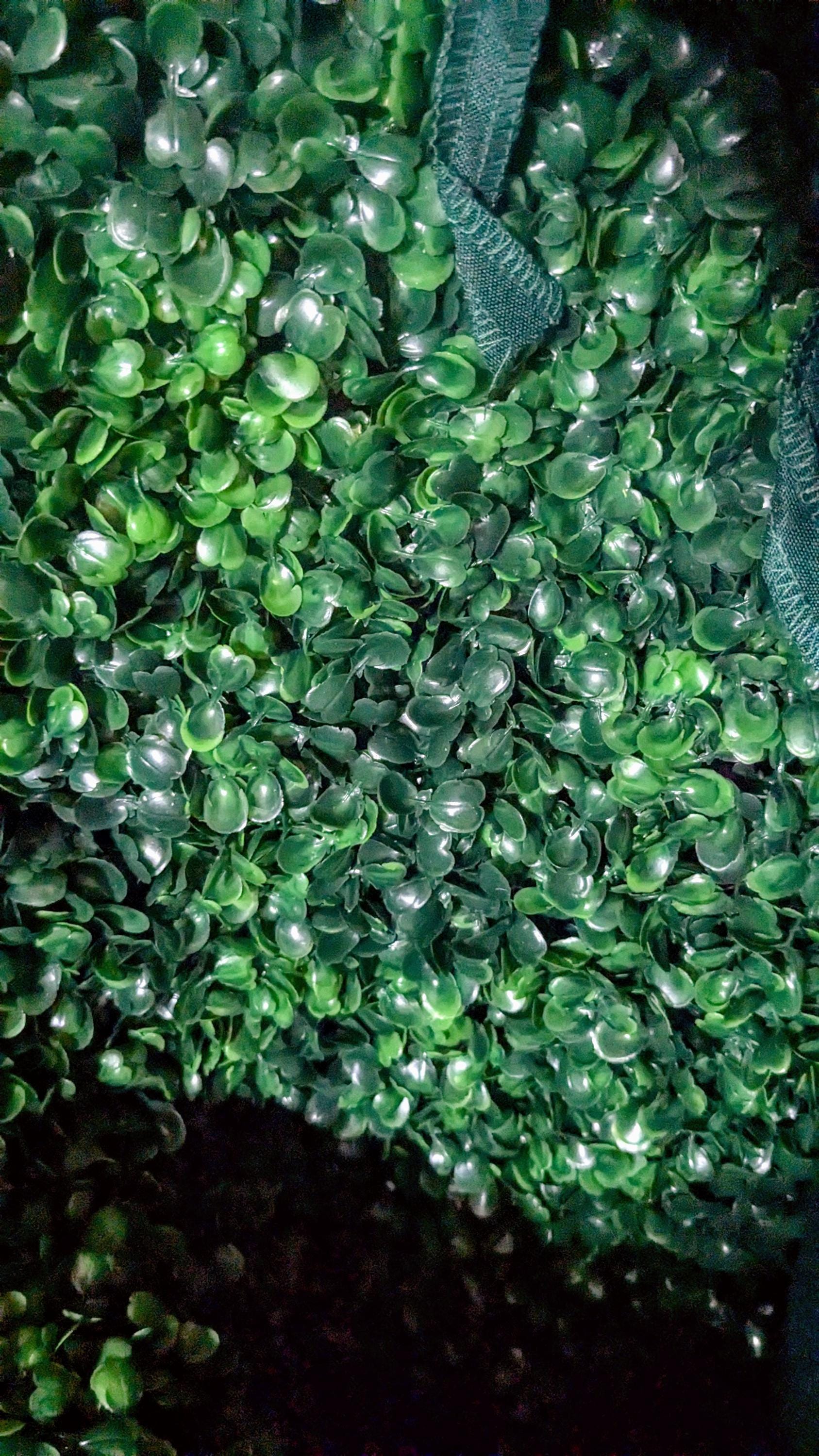 RENTAL Boxwood Wall Curtain Backdrop and Solid Iron Stand 8 X 8 or 8x4 ...