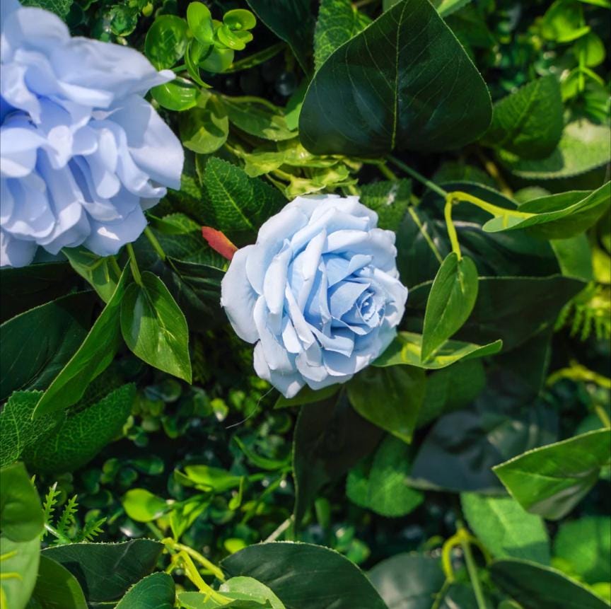 RENTAL: Flower Wall 'something Blue' Artificial Flower Curtains ...