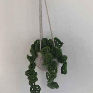 Mini Crocheted Hanging Monstera - Etsy