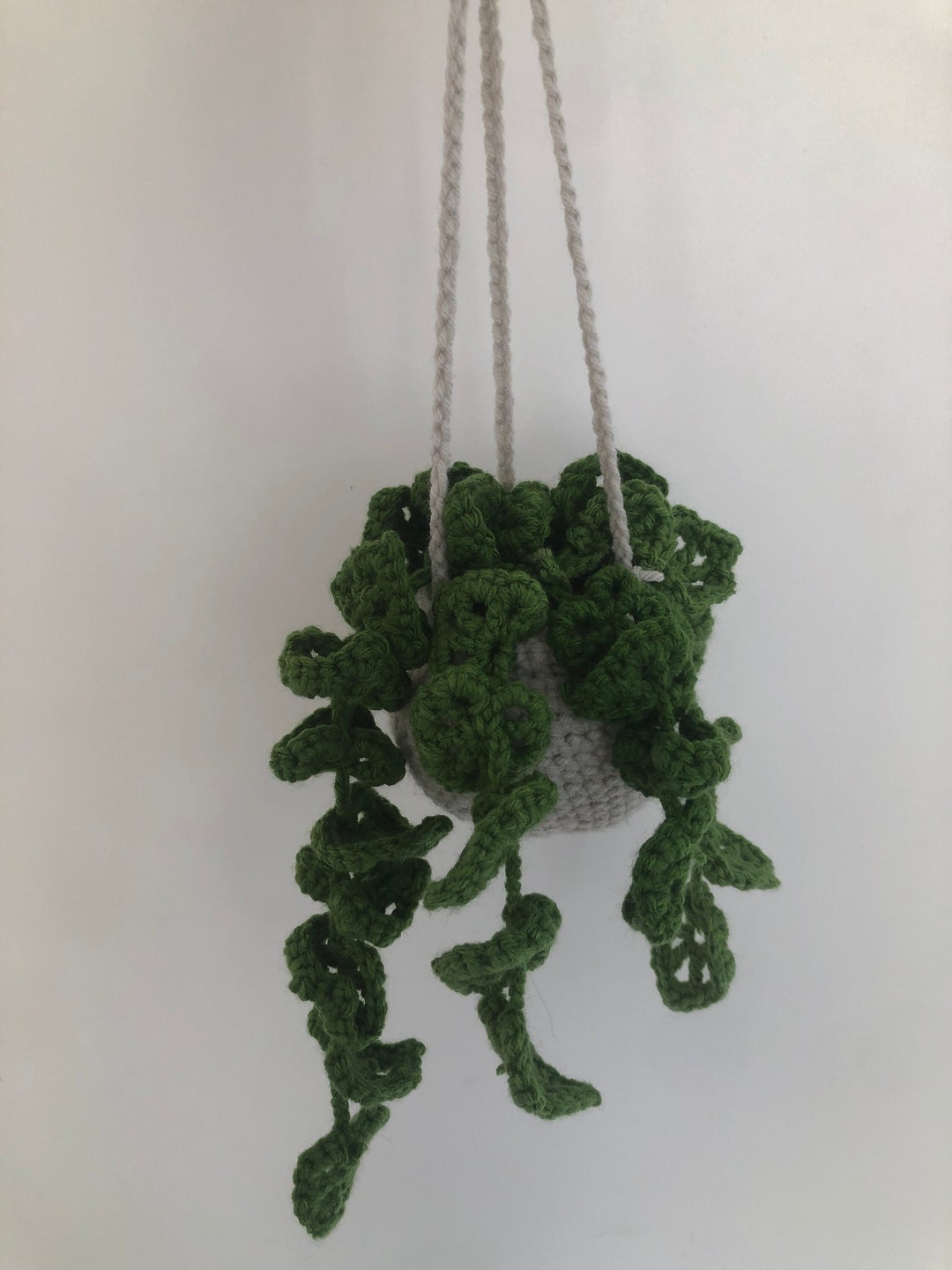 Mini Crocheted Hanging Monstera - Etsy