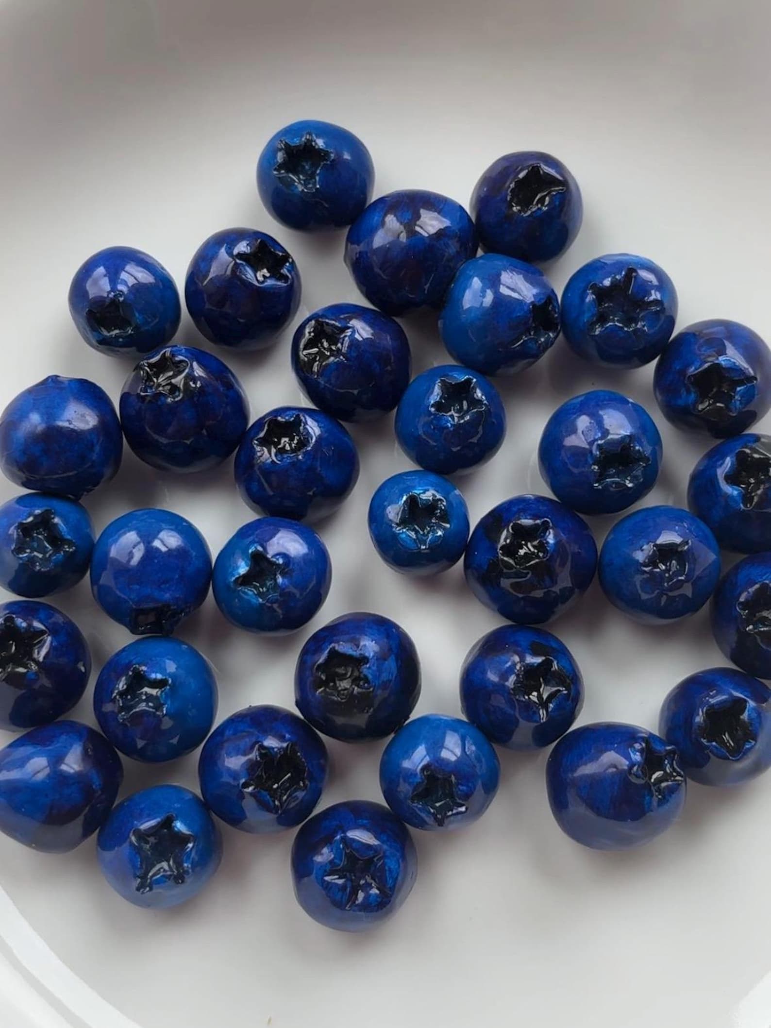 Viral Handmade Blueberry Magnets - Etsy