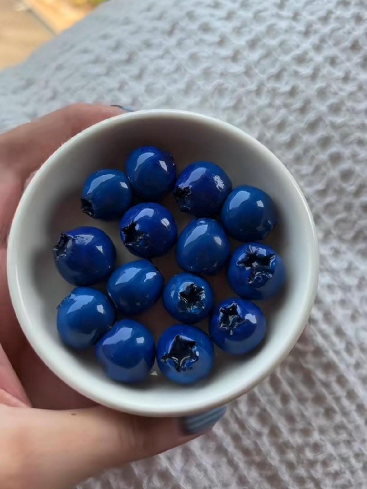 Viral Handmade Blueberry Magnets - Etsy