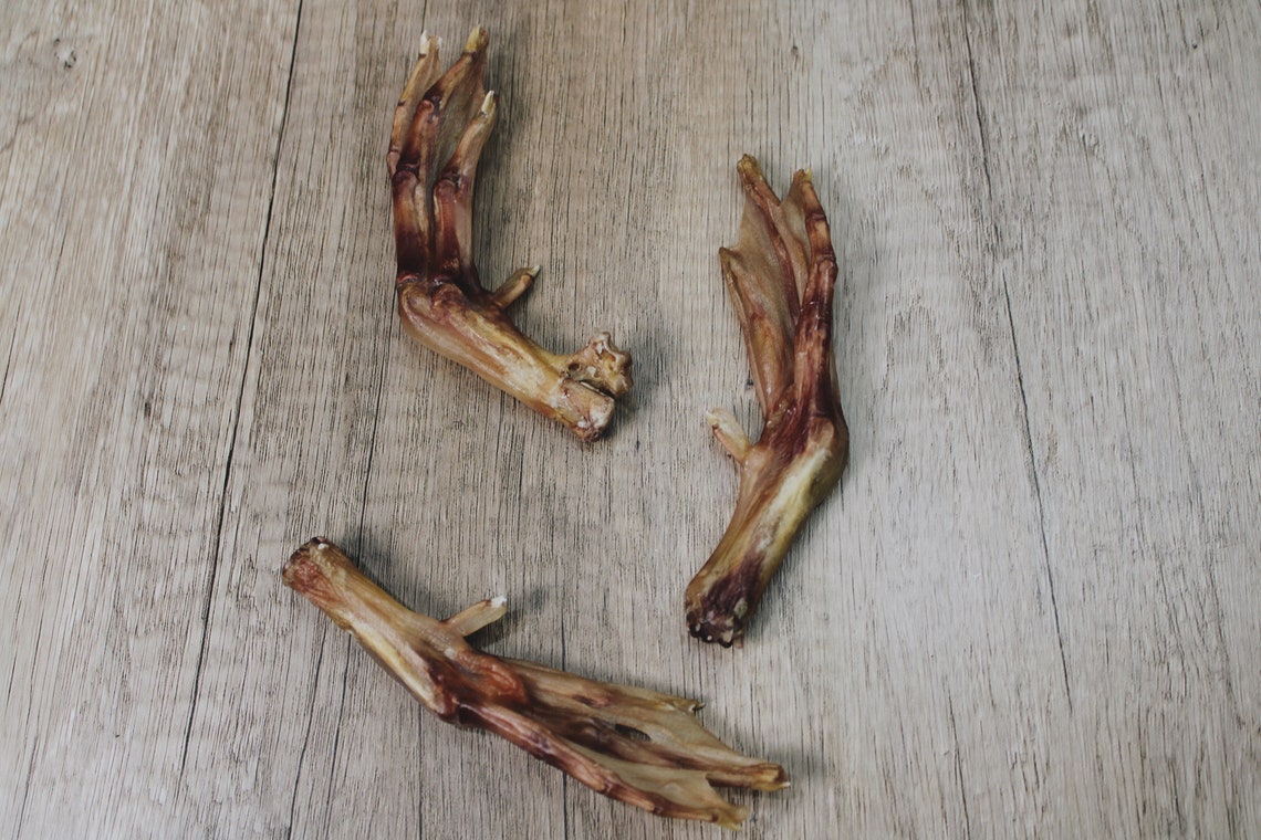 All Natural Dehydrated Duck Feet Dog Treats and Rewards Homemade High ...