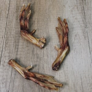 All Natural Dehydrated Duck Feet Dog Treats and Rewards Homemade High ...