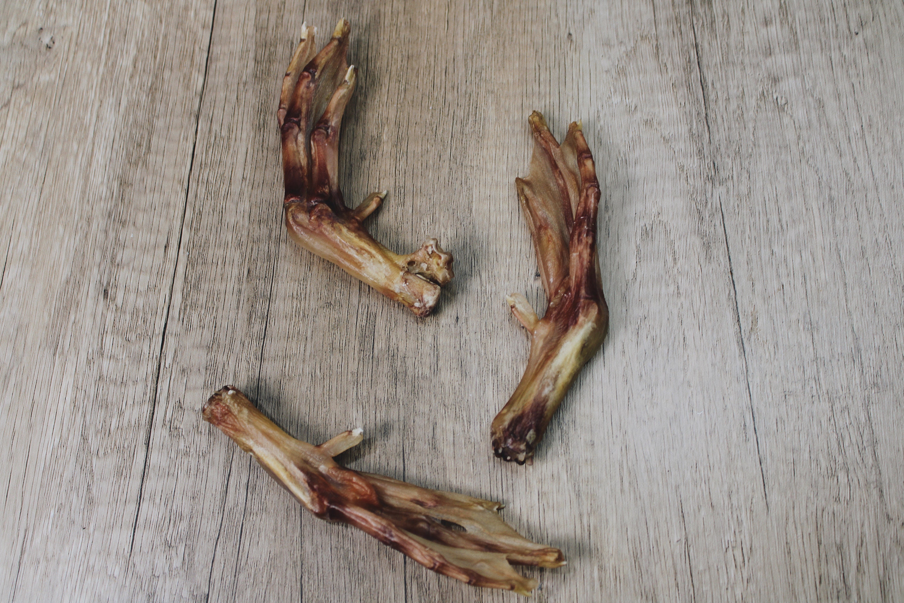 All Natural Dehydrated Duck Feet Dog Treats and Rewards Homemade High ...