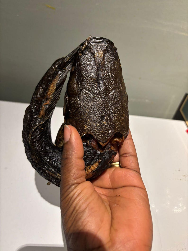 Smoked Catfish, Whole Catfish (eja Obokun), for Cooking Egusi, Ogbono ...