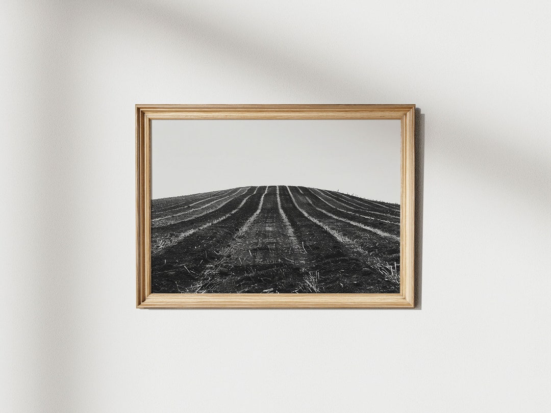 Rustic Black and White Farm | Minimalist Wall Art | Rustic Farmhouse ...
