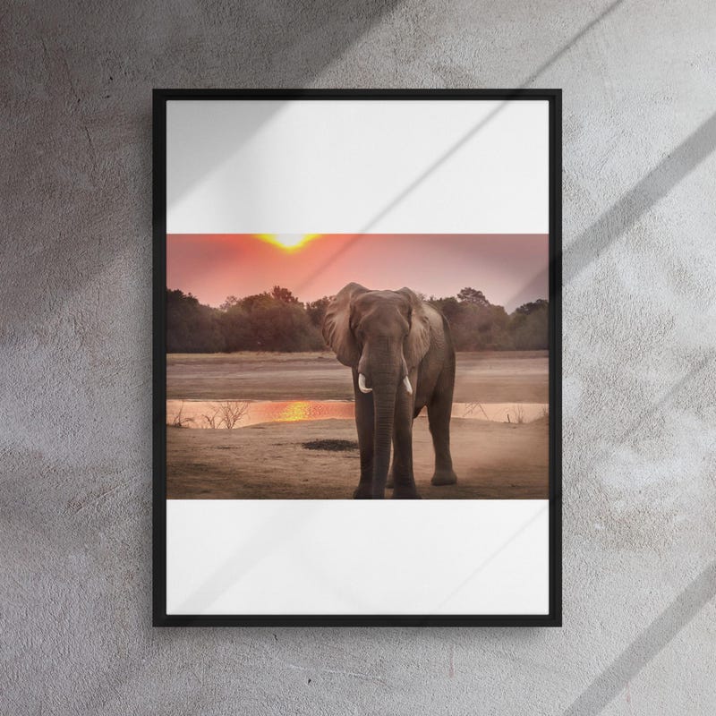 Cocofanto Elefante Ritual - Etsy Canada