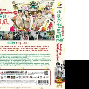 DVD Korean Drama Twinkling Watermelon Vol.1-16 End (2023 / 闪亮的西瓜 ...