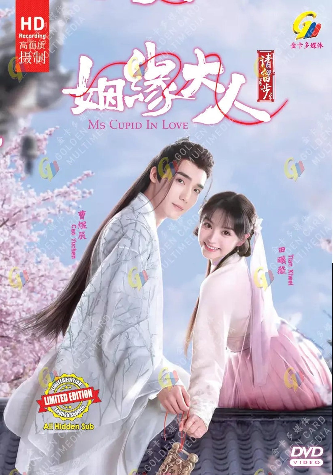 Chinese Drama HD DVD Ms Cupid in Love 姻缘大人请留步 Vol.1-24 End (2022) English Subtitle - Etsy