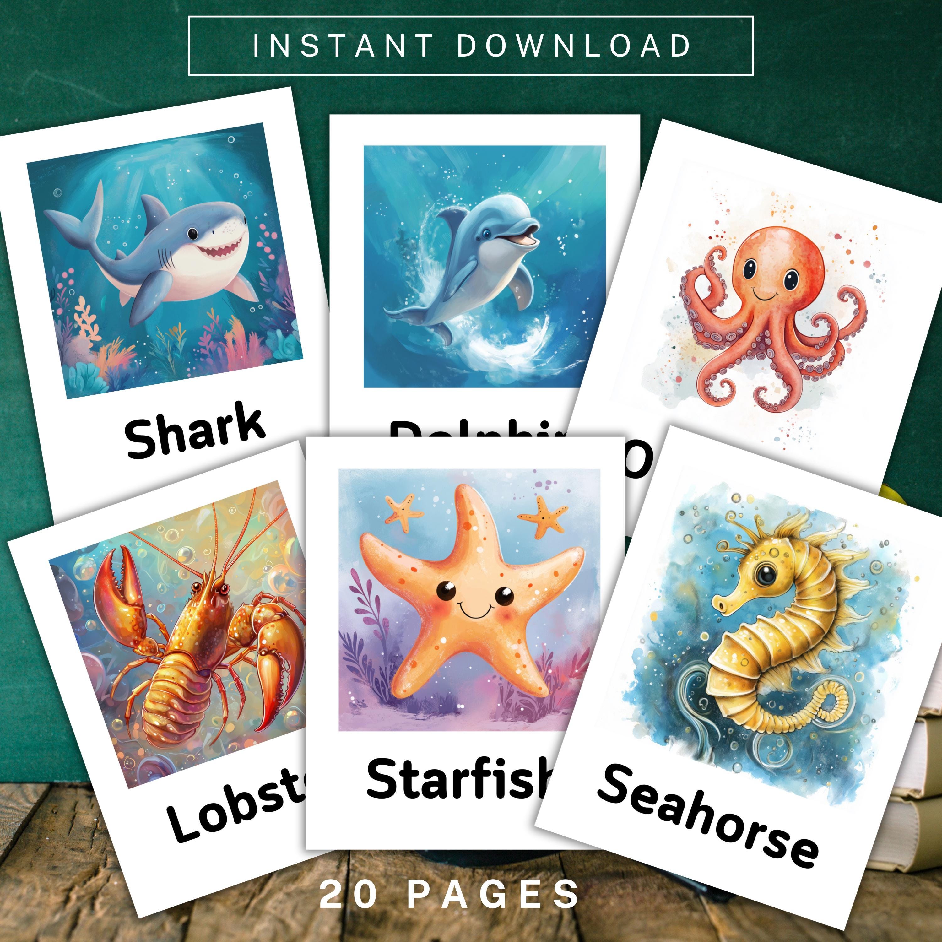 Ocean Animal Flashcards for Preschool | Montessori Homeschool PDF | Sea ...