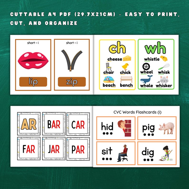 Phonics Flashcards Pack: CVC & Sight Words, Vowel Sounds (printable PDF ...