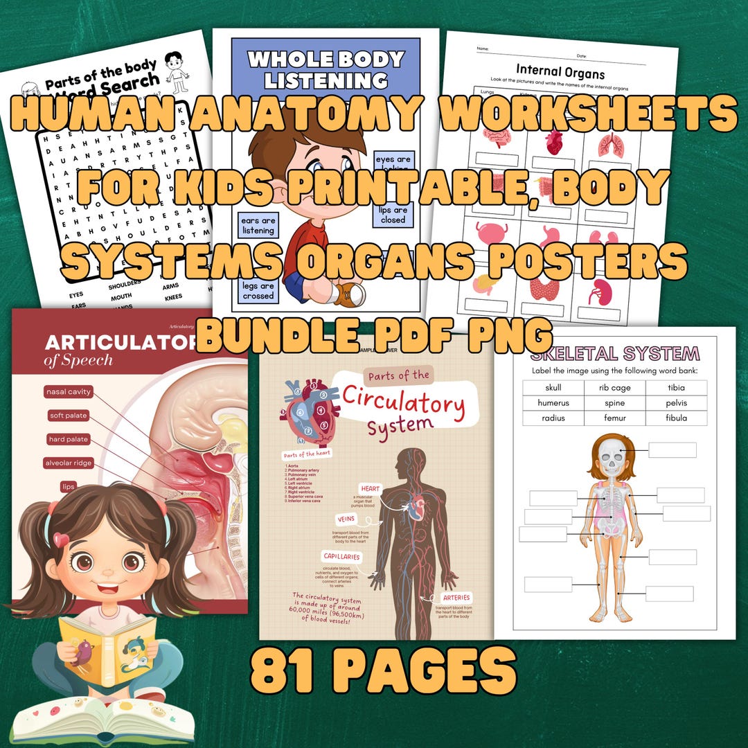 Human Anatomy Worksheets for Kids Printable, Body Systems Organs ...