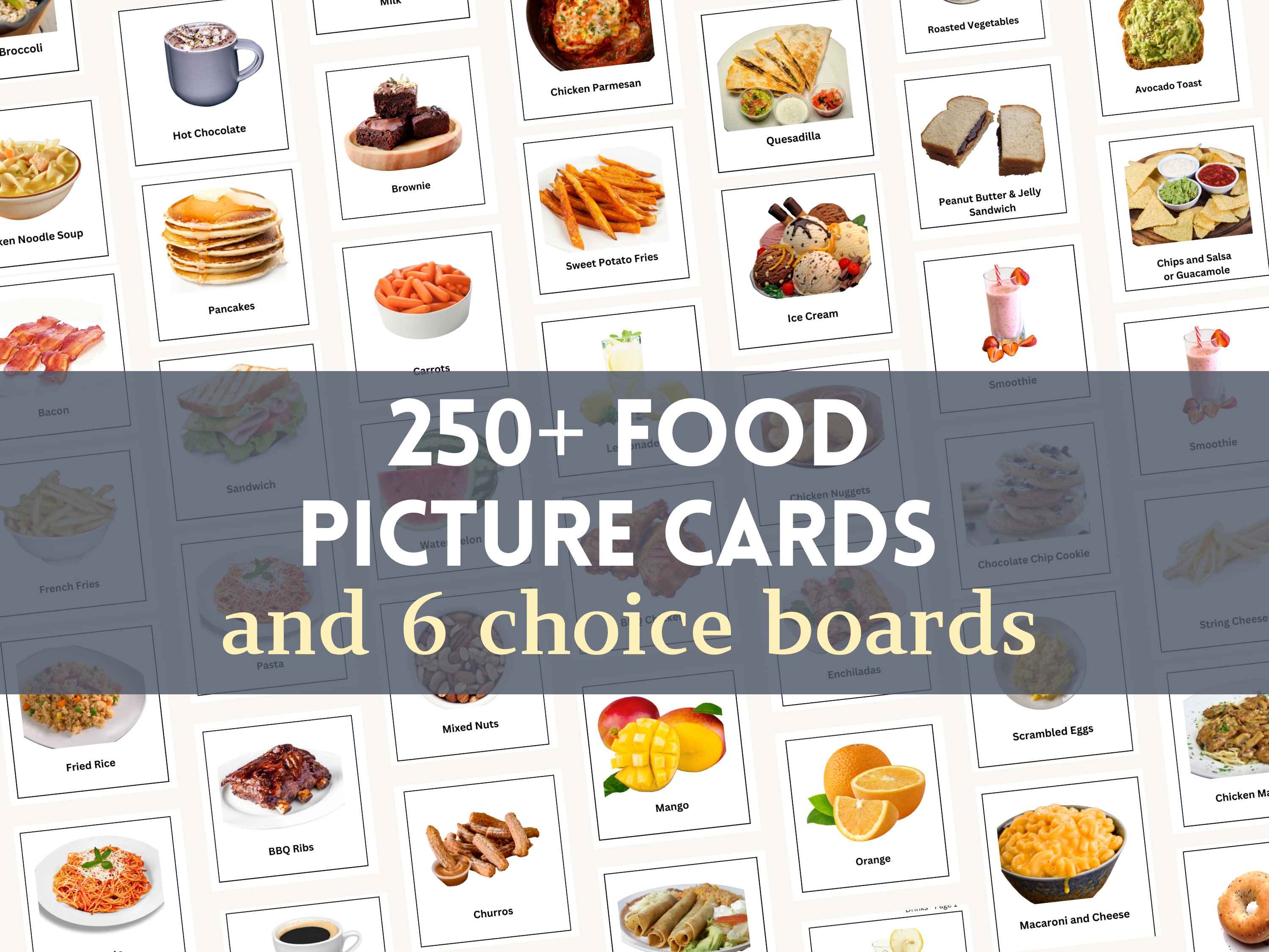 Real Picture Cards for Nonverbal Communication, Visual Image Aid for ...