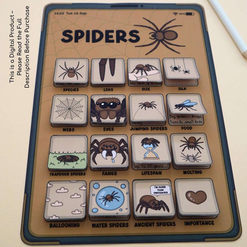 Spiders Facts Activities for Kids | Printable Science Tablet Template | Educational Craft ...
