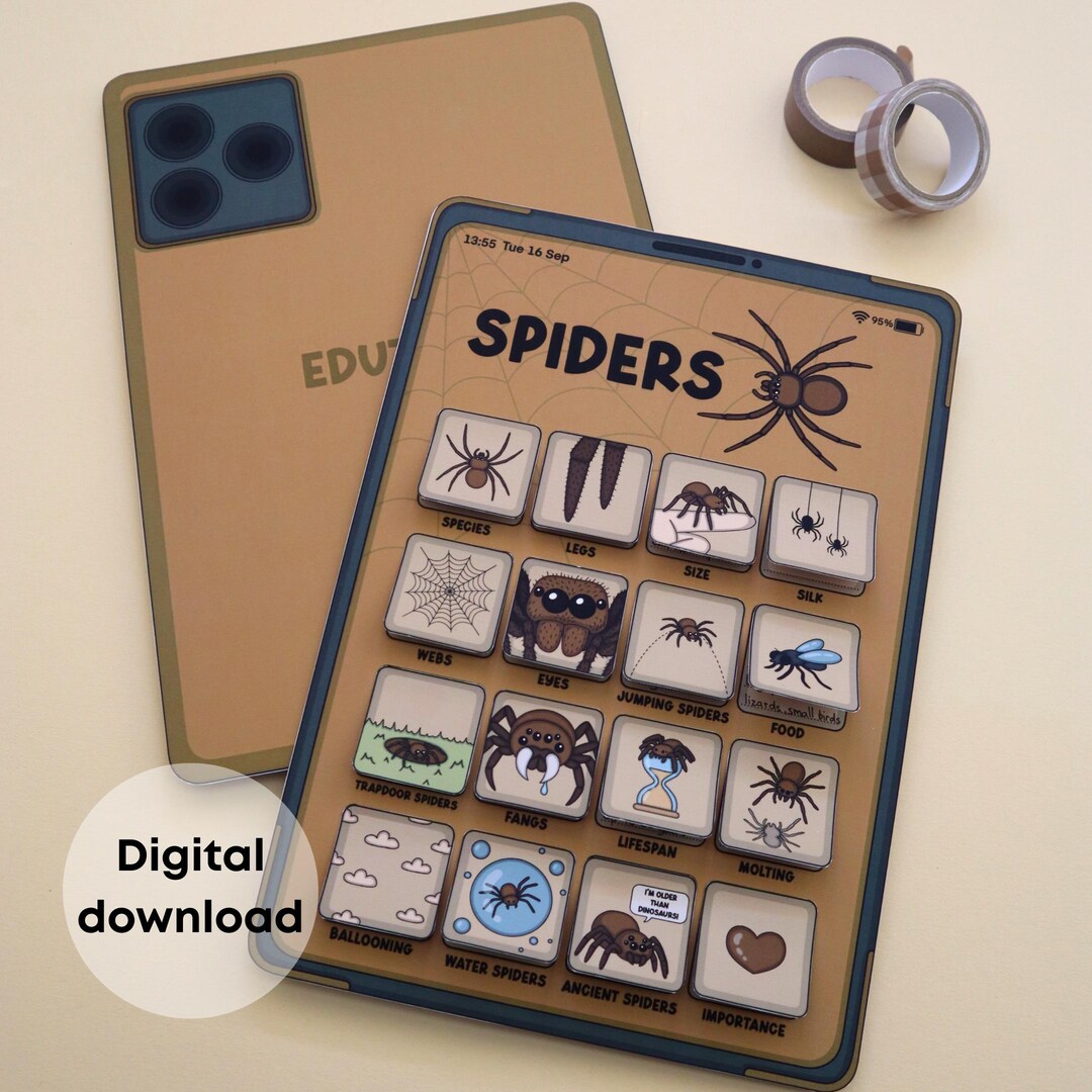 Spiders Facts Activities for Kids | Printable Science Tablet Template ...