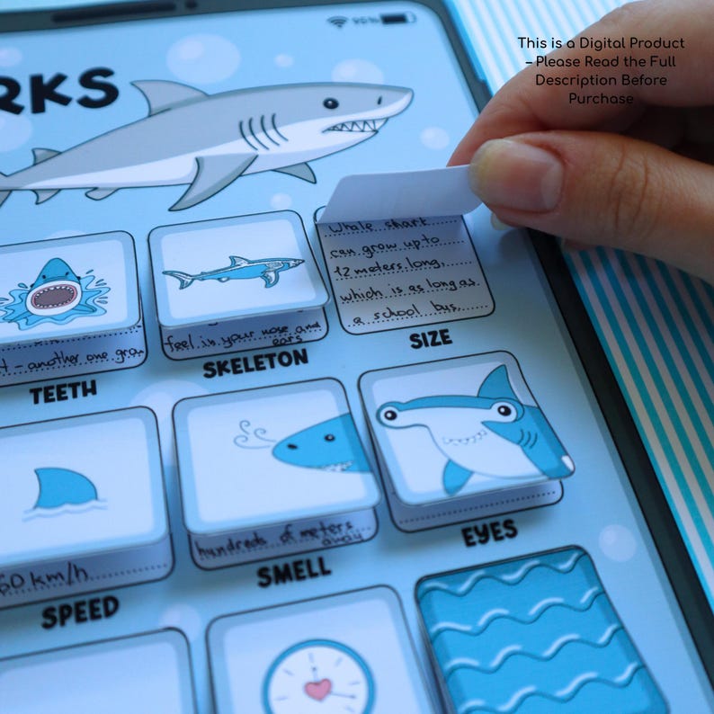 Sharks Facts Activities for Kids | Printable Science Tablet Template | Educational Craft ...