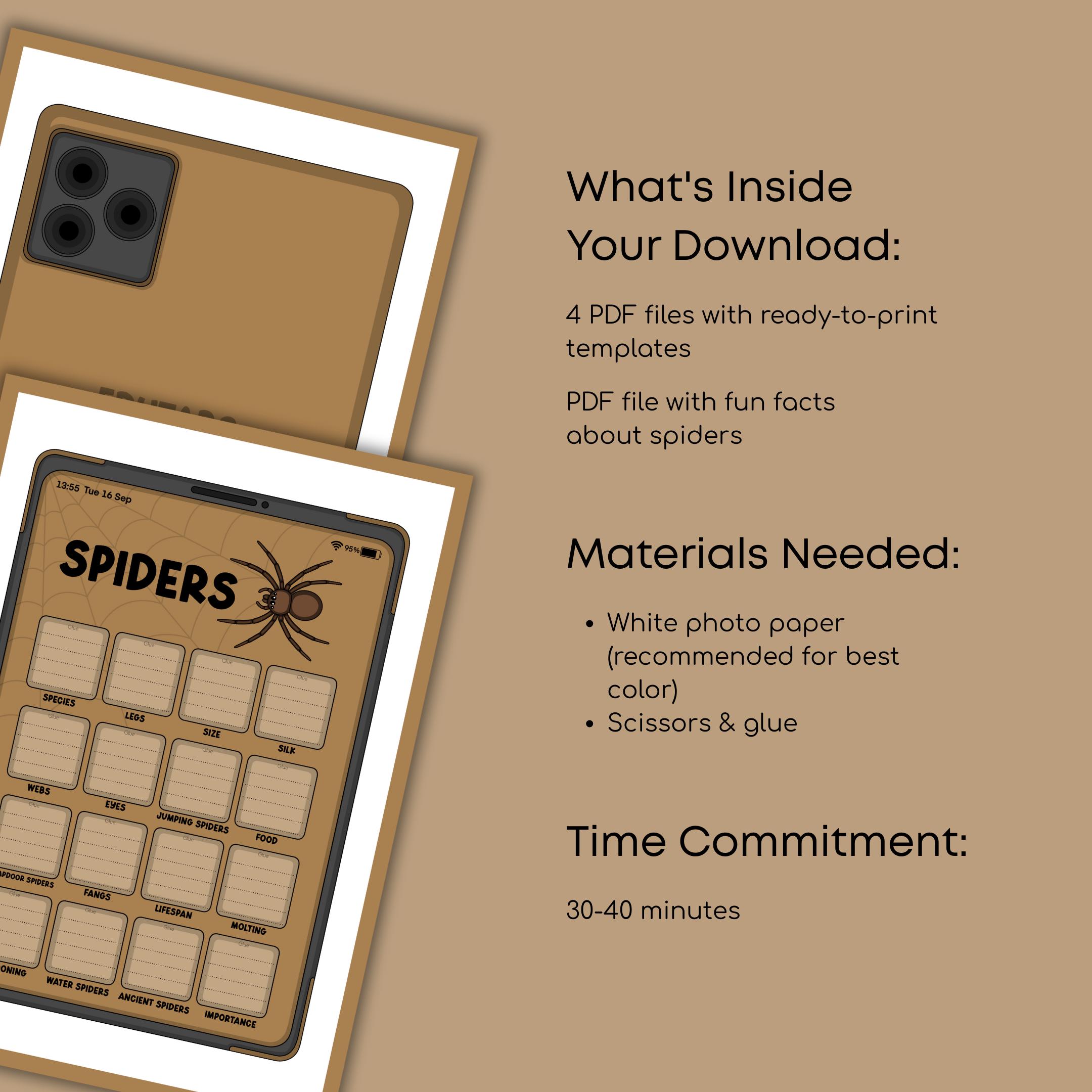 Spiders Facts Activities for Kids | Preschool | Homeschool ...