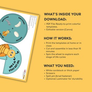 Bee Life Cycle Wheel | Printable Bee Spinner Activity | STEM Montessori ...