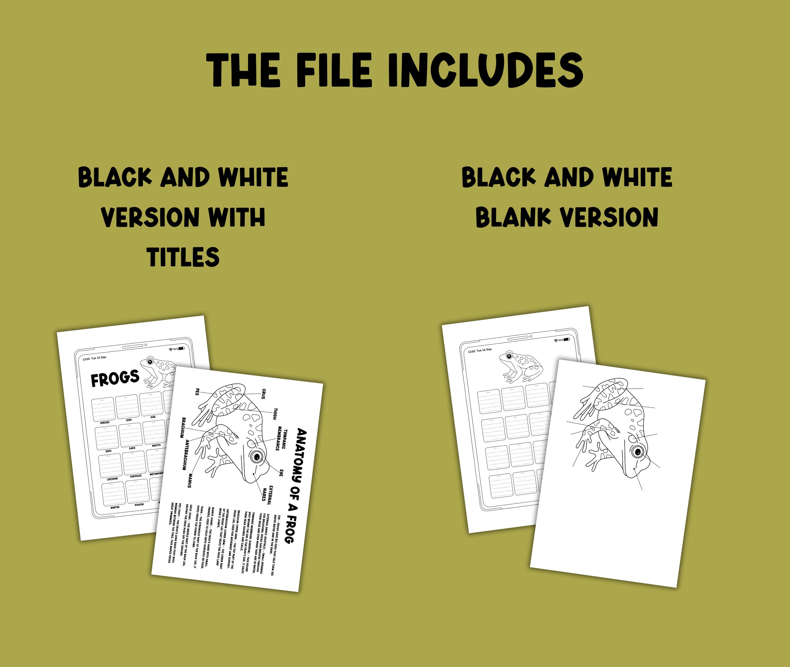 Frog Study Pack, Worksheets for Kids, Frog Life Cycle Printable ...