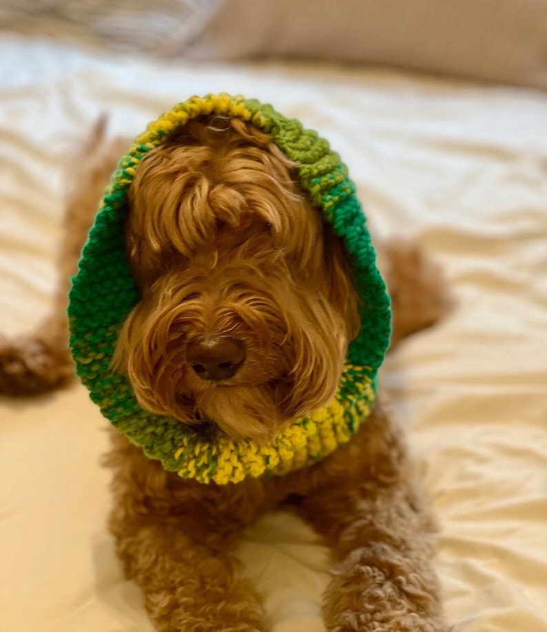 Knitted Dog Scarf Pattern: Beginner Project (PDF Pattern) - Etsy