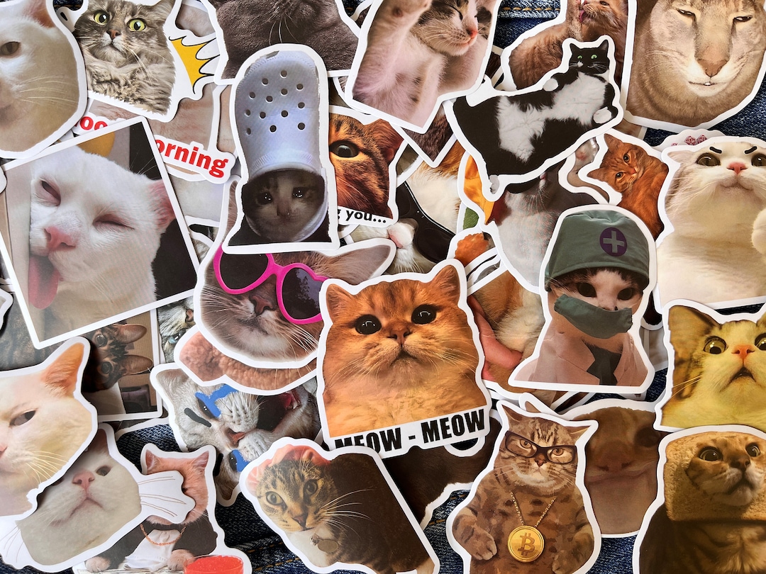 10-50pcs Funny Cute Cat Meme Stickers Sarcastic Decals for Laptop ...
