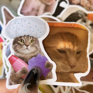 10-50pcs Funny Cute Cat Meme Stickers Sarcastic Decals for Laptop ...