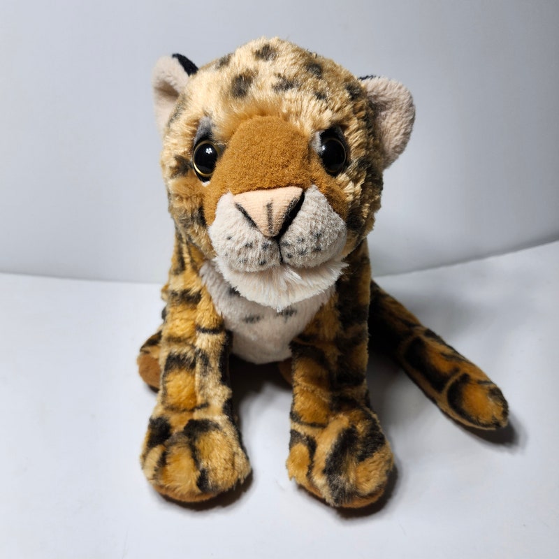 Clouded Leopard - Etsy