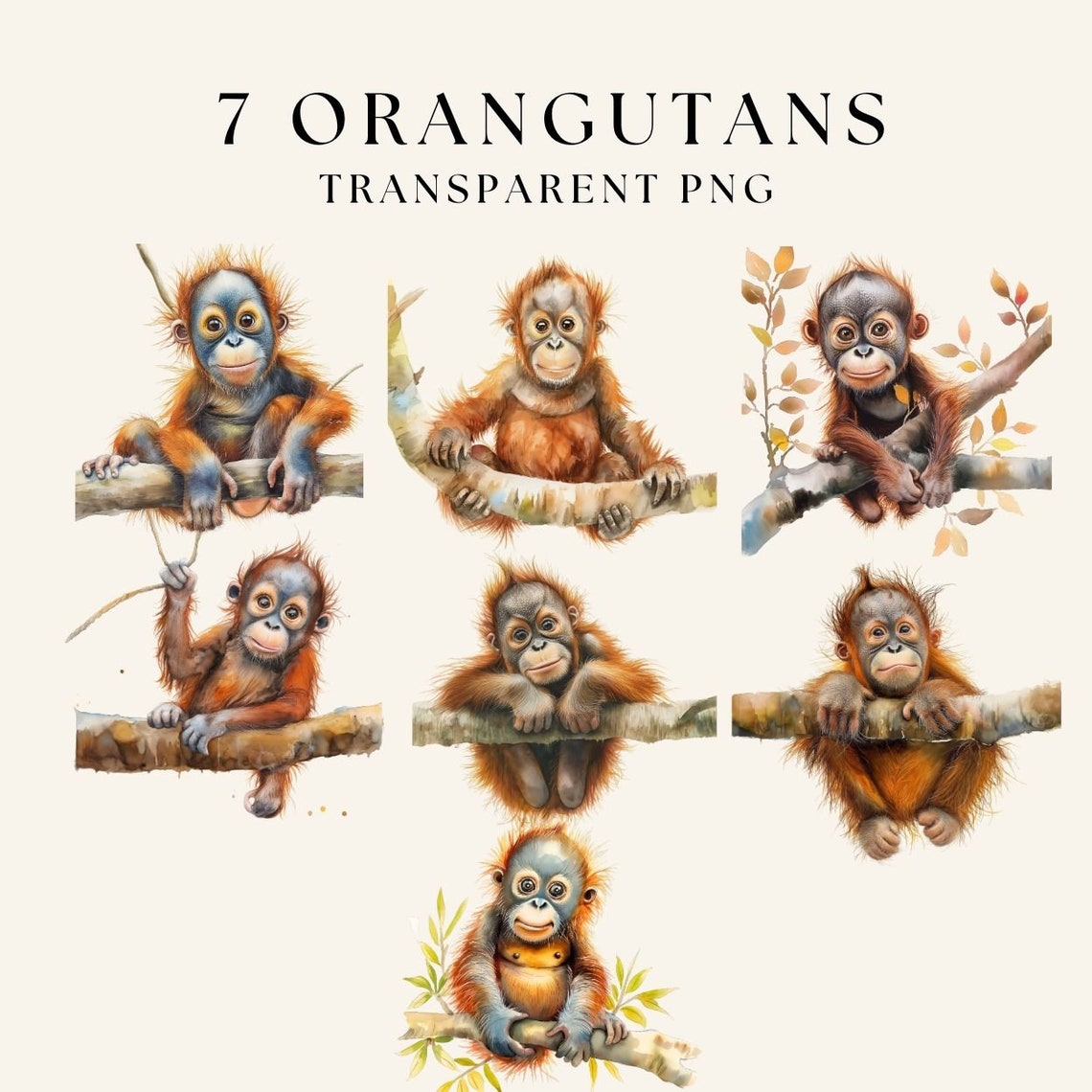 Safari Animal Clipart Watercolor Jungle Animal for Nursery Decor Cute ...