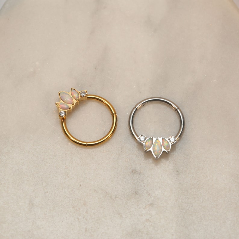 16G Simple Fashion Hinge Nasal Septum Ring/nose Ring/316l Piercing ...