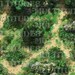 Forest Path, Battle Map, Dnd Battle Map, Dungeons and Dragons, Tabletop ...