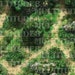 Forest Path, Battle Map, Dnd Battle Map, Dungeons and Dragons, Tabletop ...