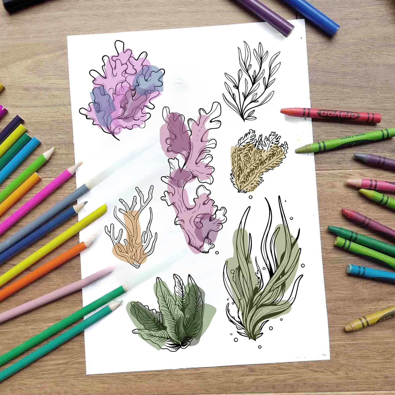 Seaweed Bundle Svg, Coral Png, Sea Plants Svg, Sea Life Svg Bundle ...