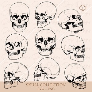 Skull Head Png, Skull Clipart Bundle, Skull Perspectives Cricut, Skull ...