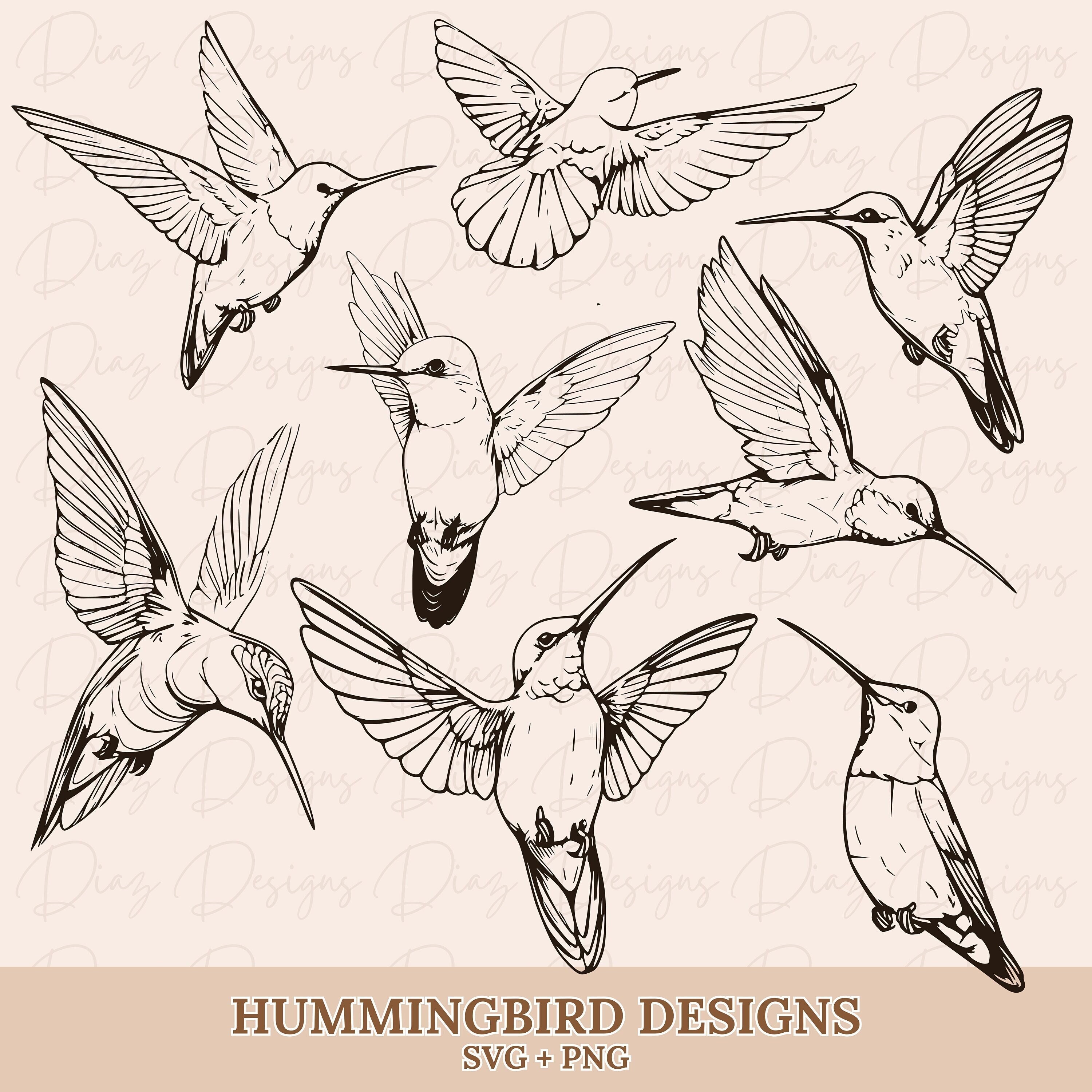 Hummingbird Svg, Hummingbird Cut File, Bird Svg File, Hummingbird Png ...