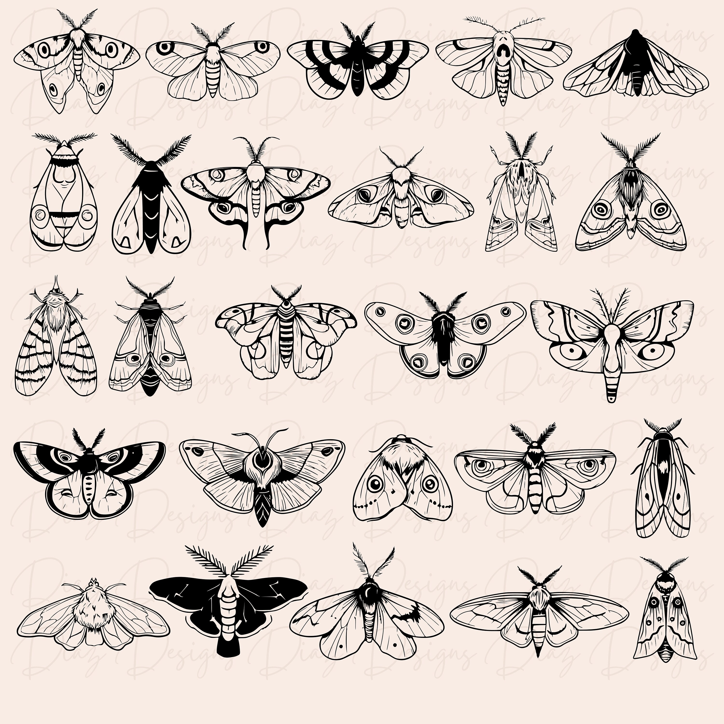 Moth Svg Bundle, Witchcraft Svg, Witch Moth Svg, Boho Moth Svg ...